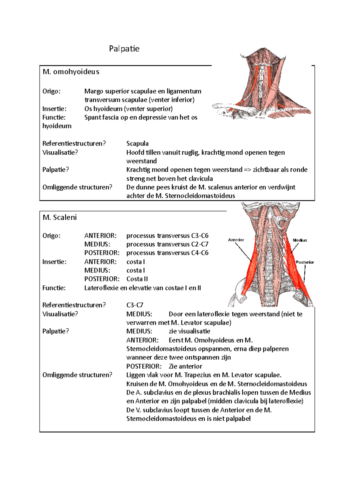 Samenvatting-palpatie - Palpatie M. omohyoideus Origo: Margo superior ...