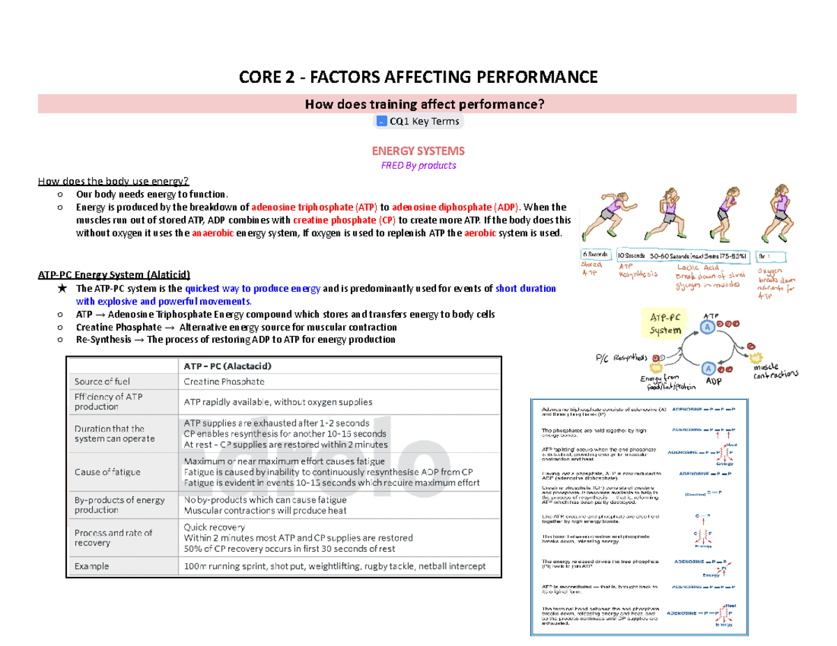 Core 2 factors affecting performance notes - CORE 2 - FACTORS AFFECTING ...