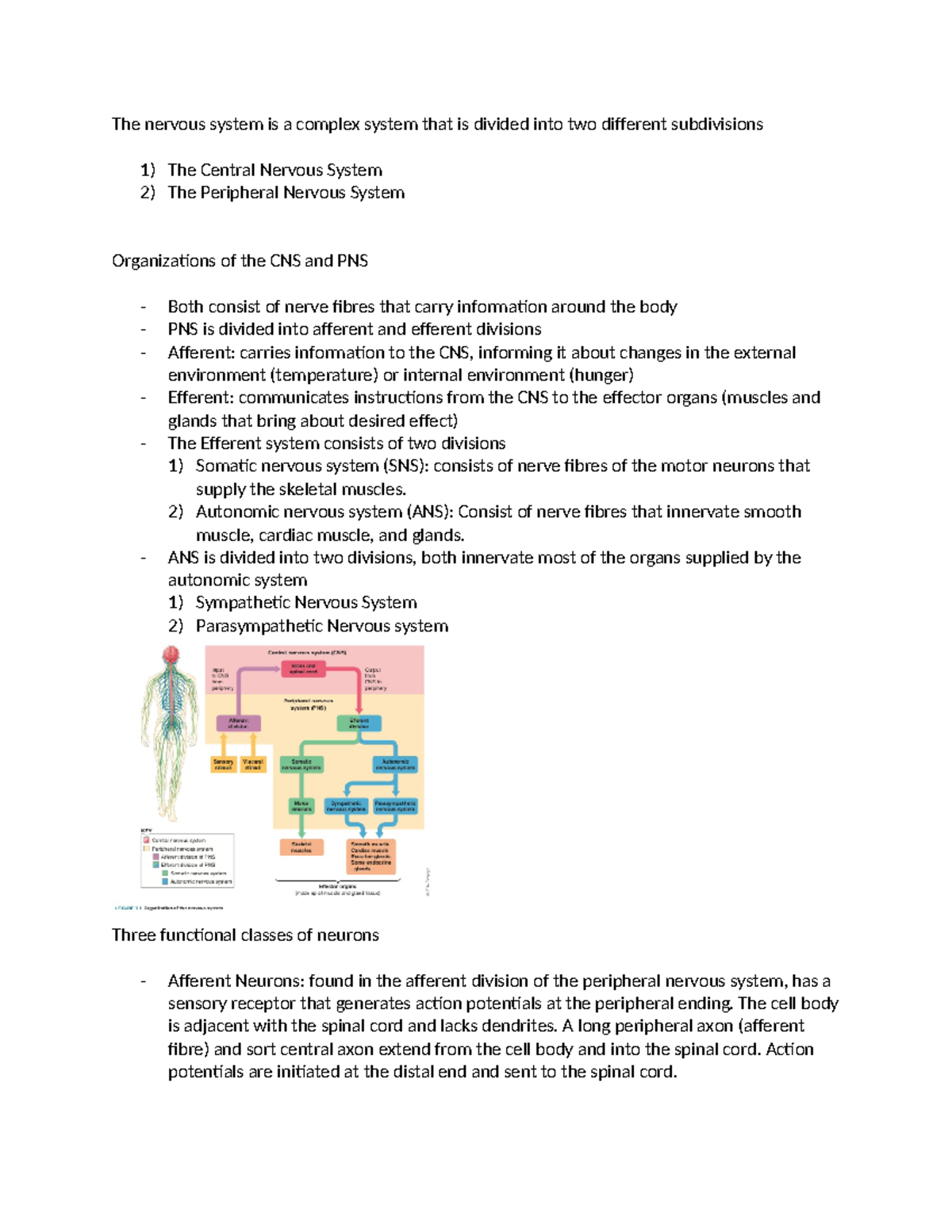 Chapter 3 - swsws - The nervous system is a complex system that is ...