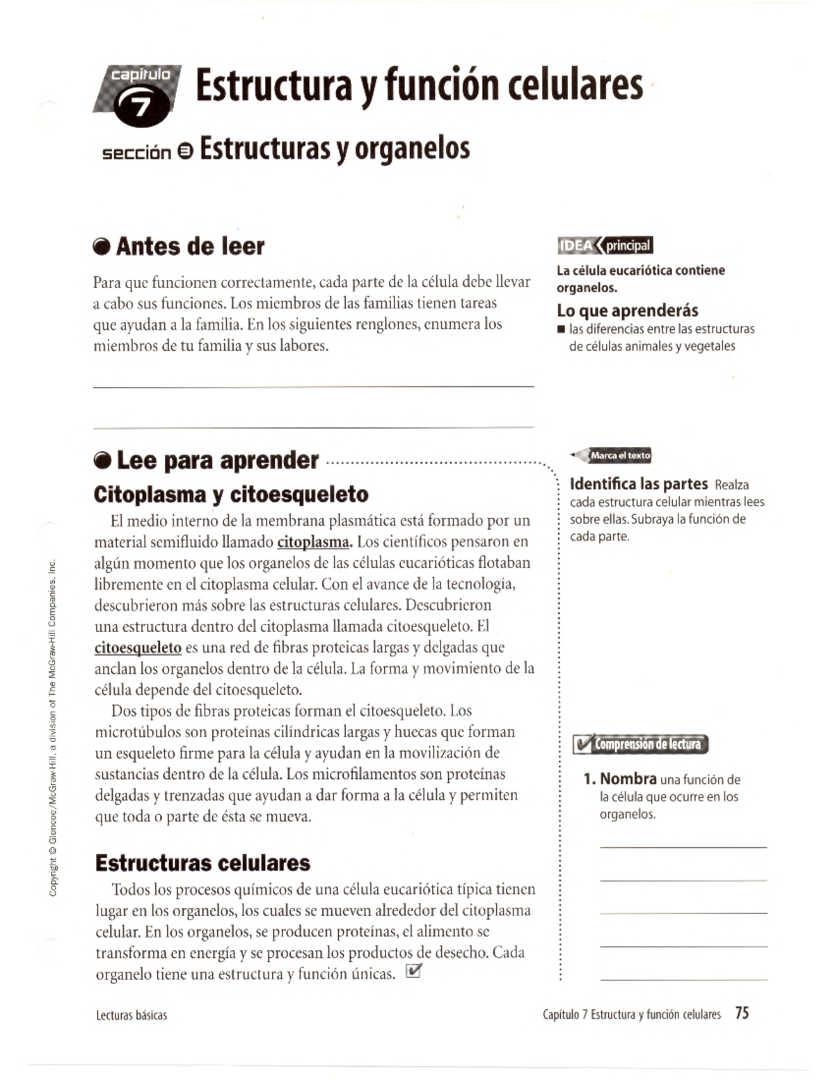 Bio April 15 Reading Essentials Structures and Organelles Spanish ...