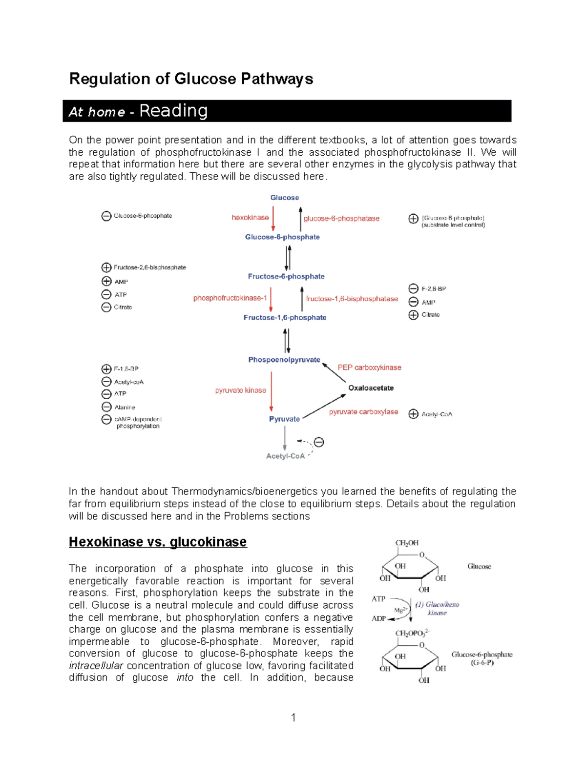 07 Pathway Regulation - Worksheet - Regulation of Glucose Pathways At ...