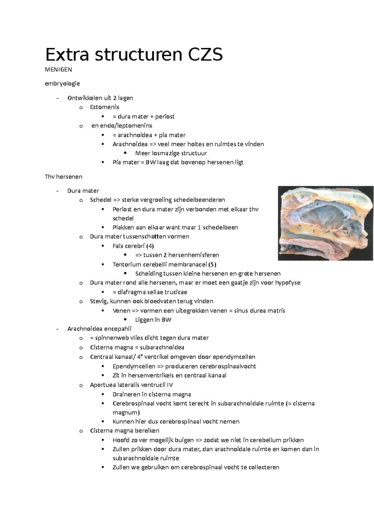 Extra structuren CZS - Extra structuren CZS MENIGEN embryologie ...