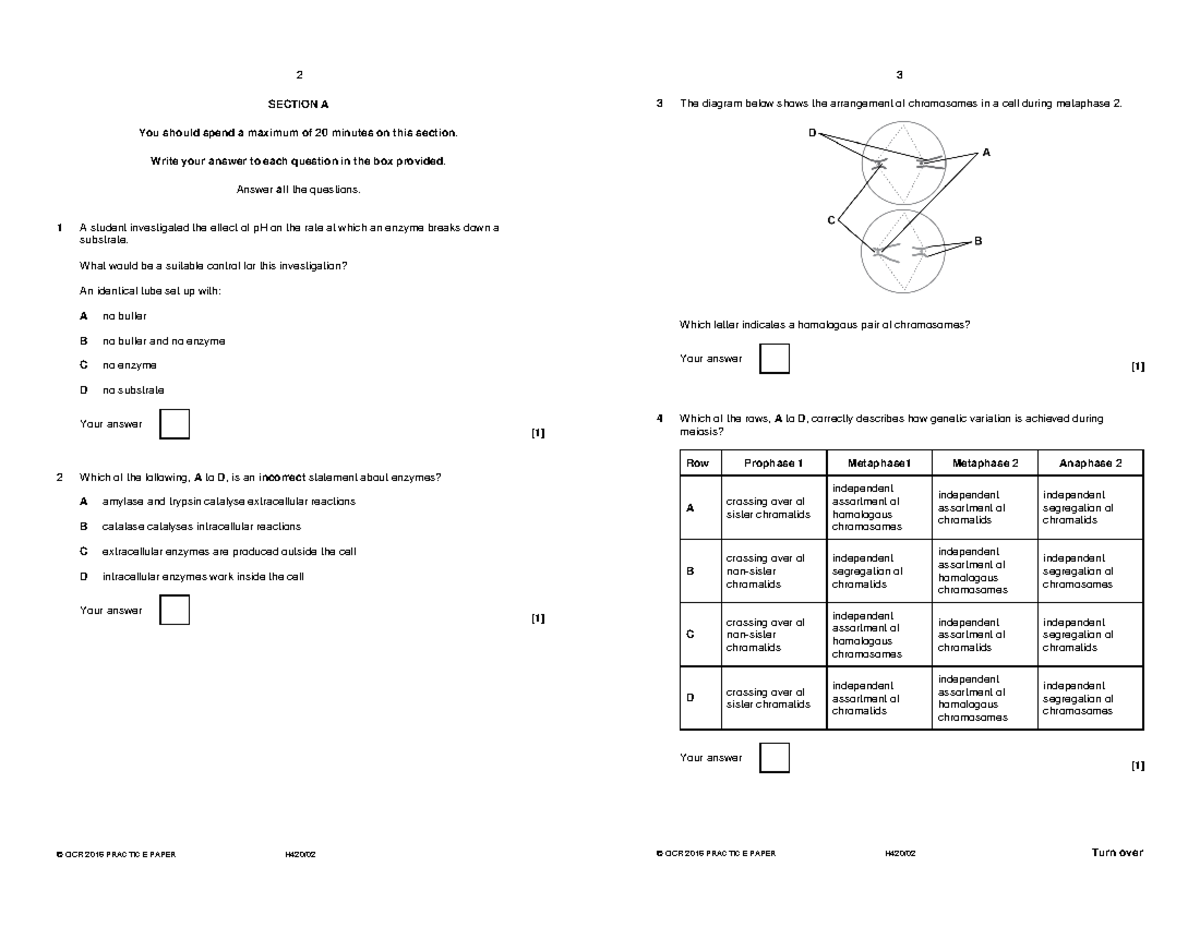 Diversity paper set 1 - SECTION A You should spend a maximum of 20 ...