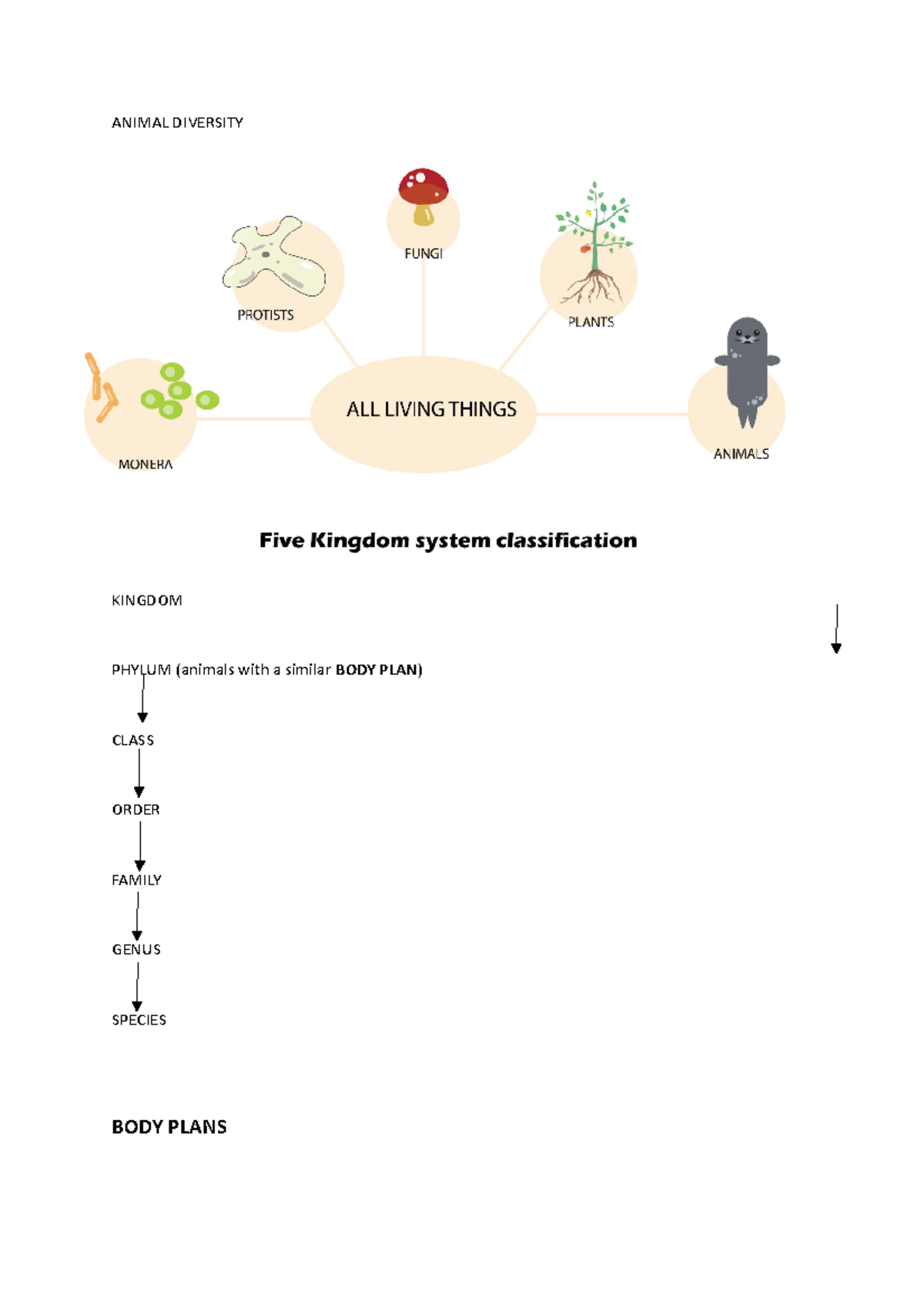 Animal Diversity - ANIMAL DIVERSITY KINGDOM PHYLUM (animals with a ...