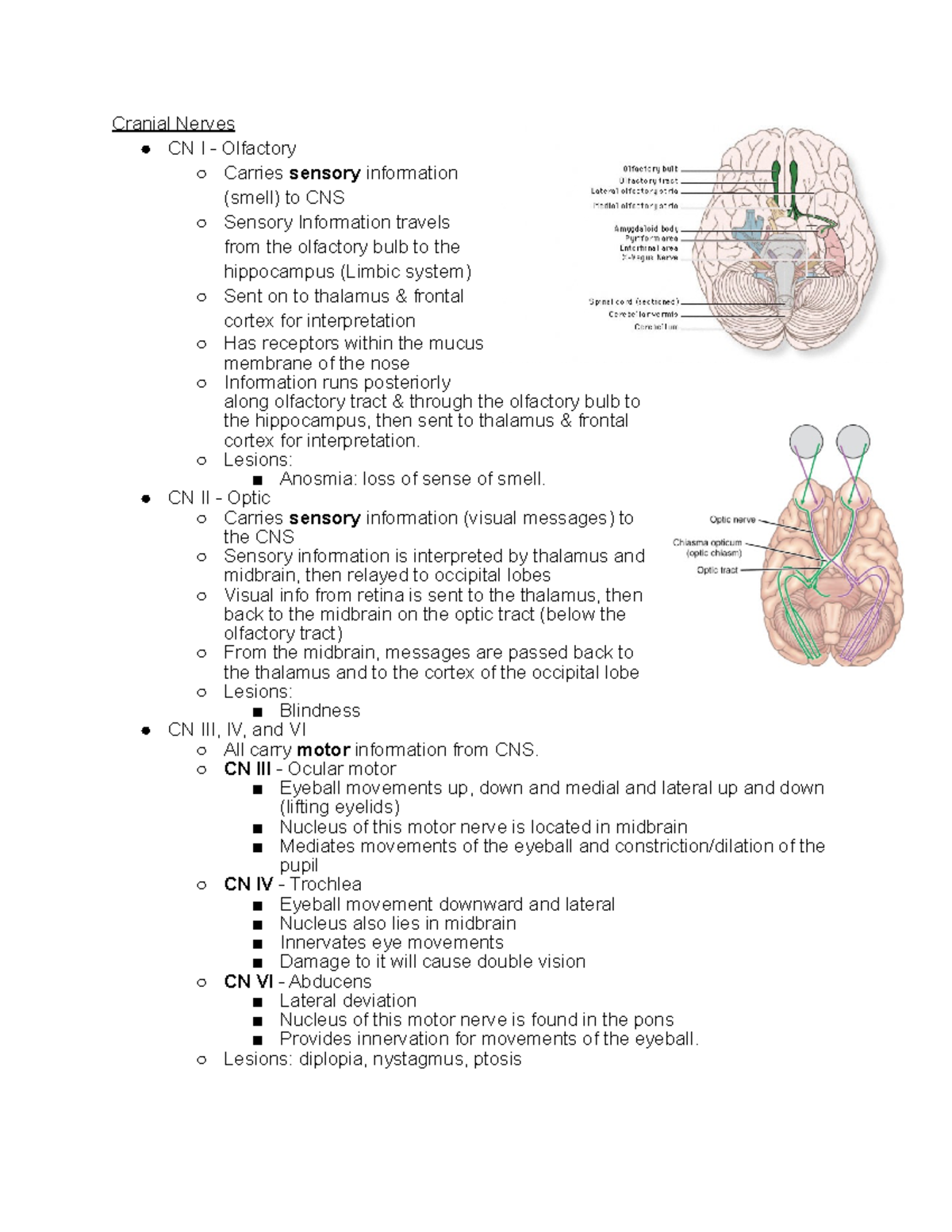 Cranial nerves I, II, III, IV, and VI - Cranial Nerves CN I - Olfactory ...