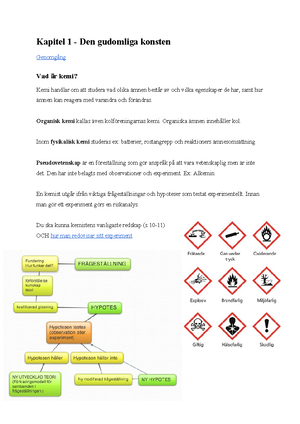 Flödesschema o Säkerhetsanalys - Analys av okänt salt Flödesschema för ...