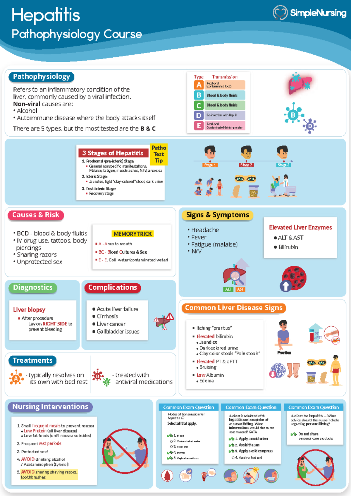 3. Hepatitis - MedSurg - Hepatitis Pathophysiology Course General ...