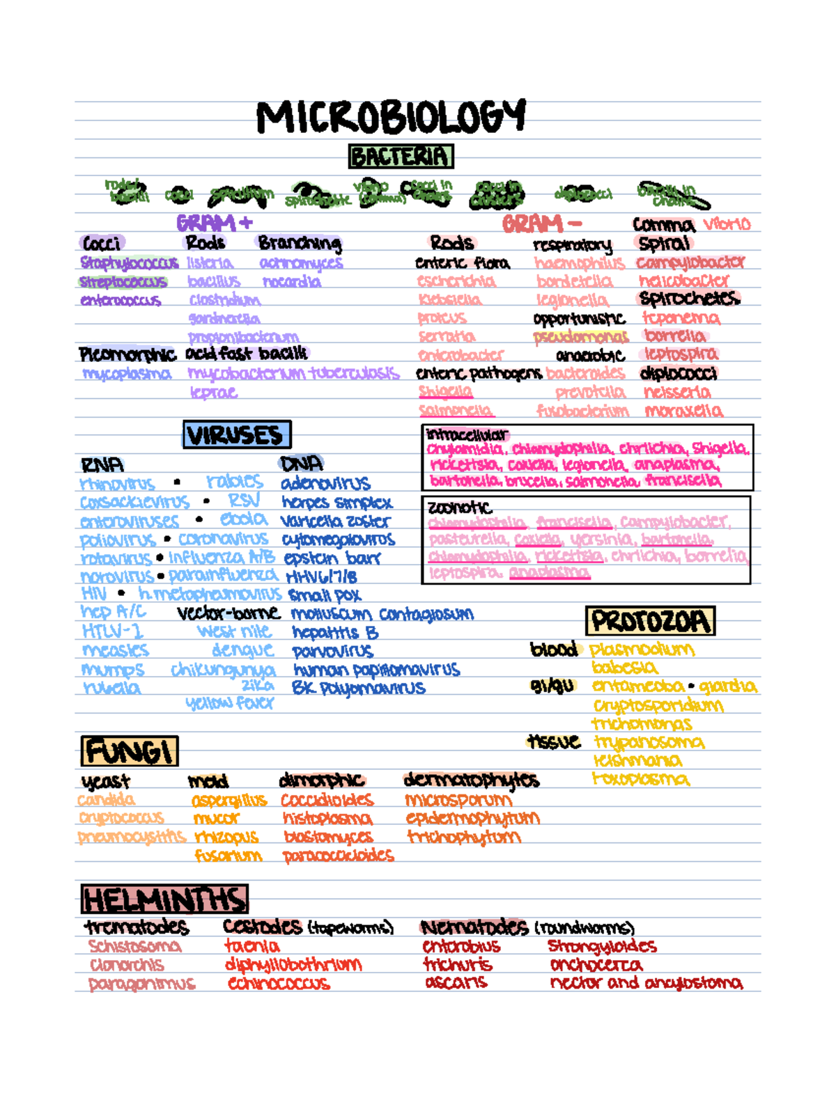 Infectious Disease - Bugs and Drugs - MICROBIOLOGY BACTERIA Éi Oi ...