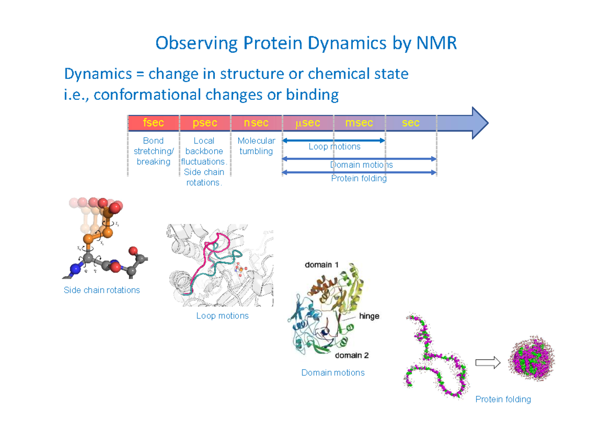 Wk 5 Video 4 slides - 1pp - Observing Protein Dynamics by NMR Dynamics ...