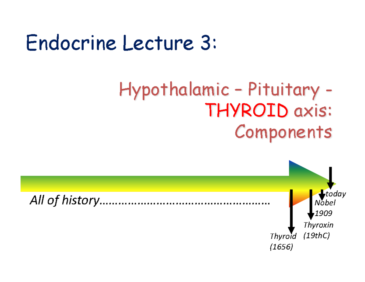 2B Jan 24 Endo Lecture Thyroid Axis TO POST 1 per slide - Hypothalamic ...