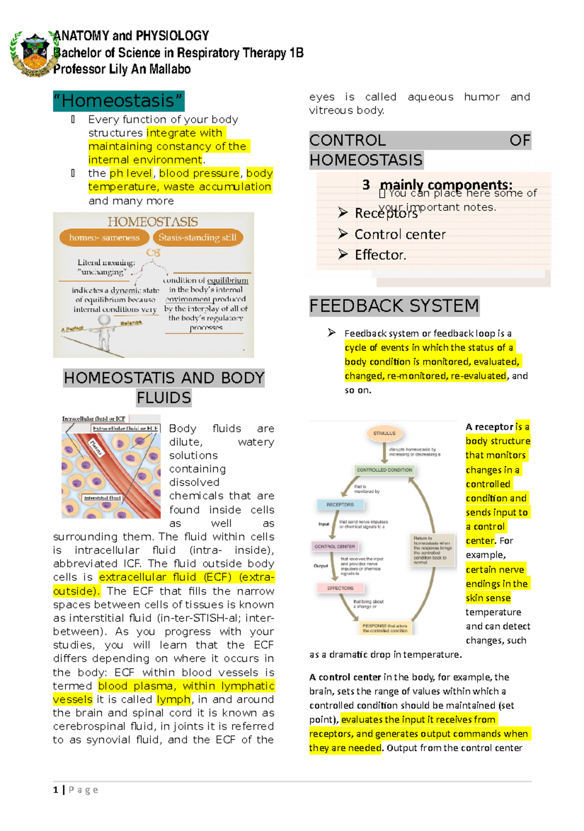 Homeostasis, Negative and Positive - Anatomy - USM - Studocu
