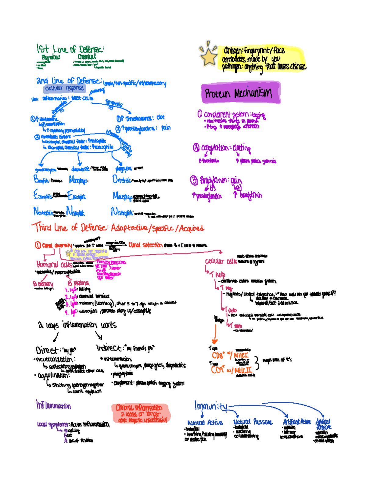 Overall immune system notes - 1stLineofDefense antigenfingerprintface ...