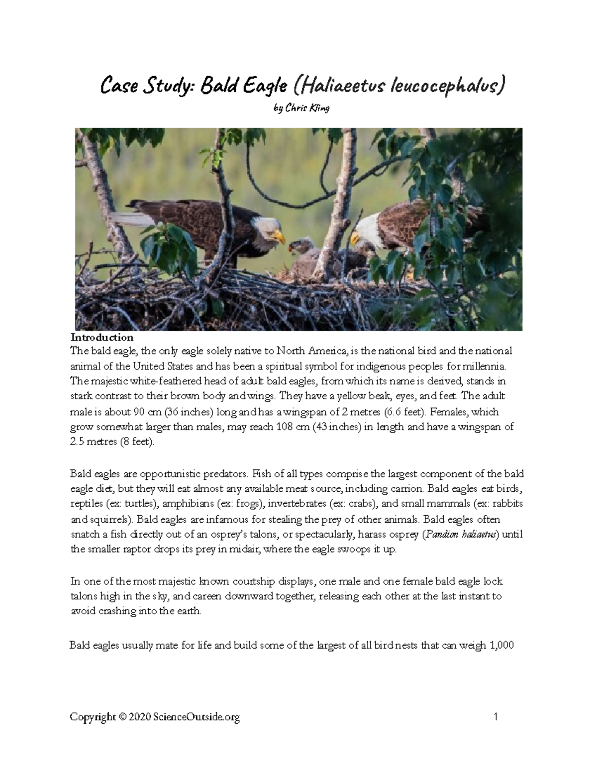 Bald Eagle Case Study - Case Study: Bald Eagle (Haliaeetus ...