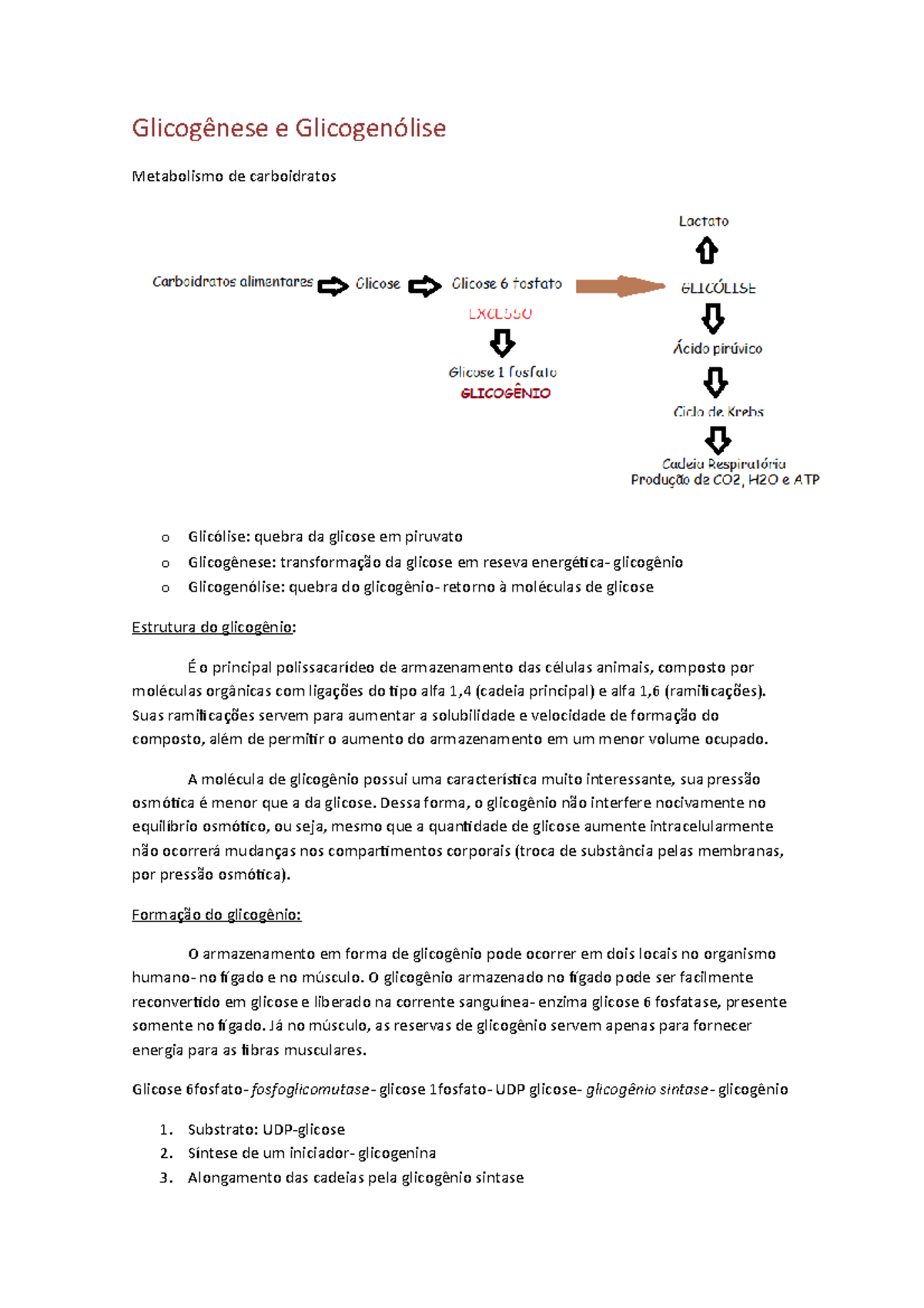 Glicogênese e Glicogenólise - Glicogênese e Glicogenólise Metabolismo ...