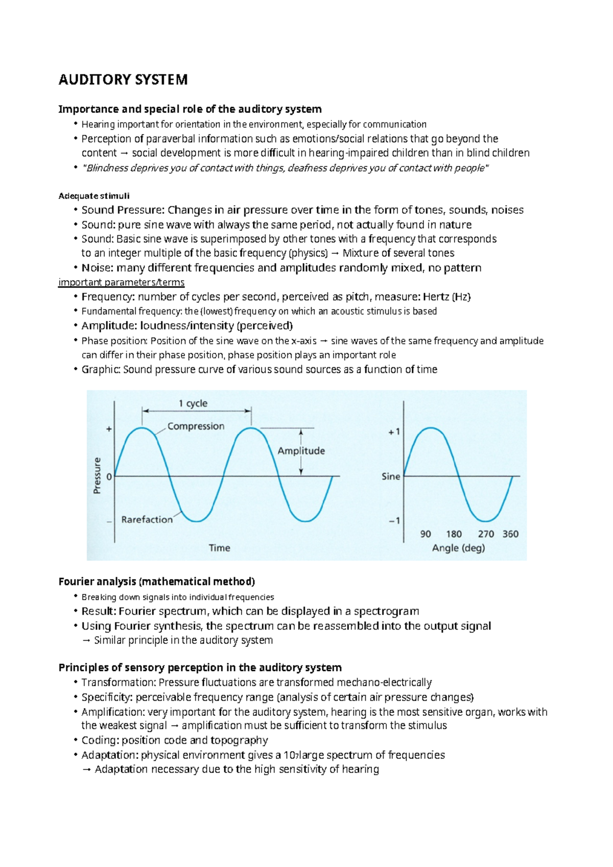 Biological Psychology I - Auditory System - AUDITORY SYSTEM Importance ...