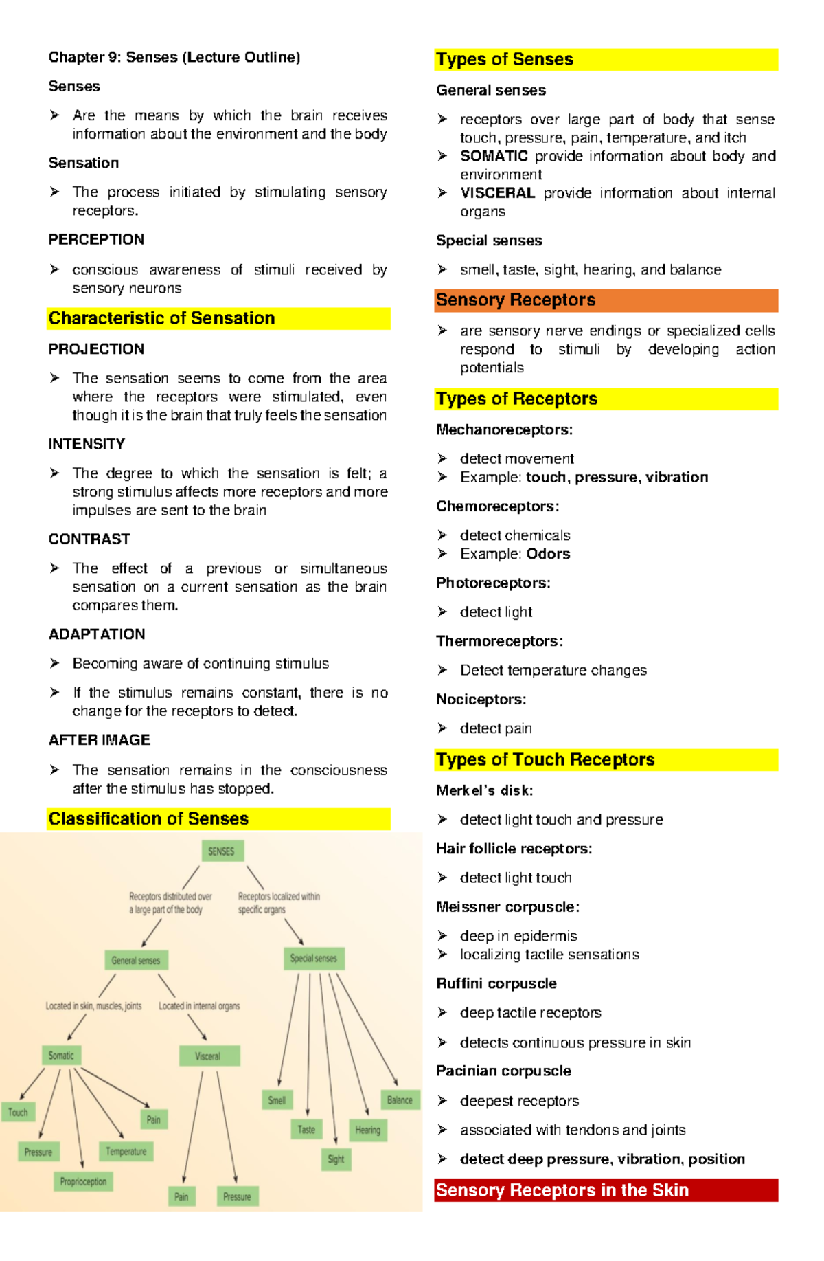 Anatomy and Physiology Chapter 9 - Chapter 9: Senses (Lecture Outline ...