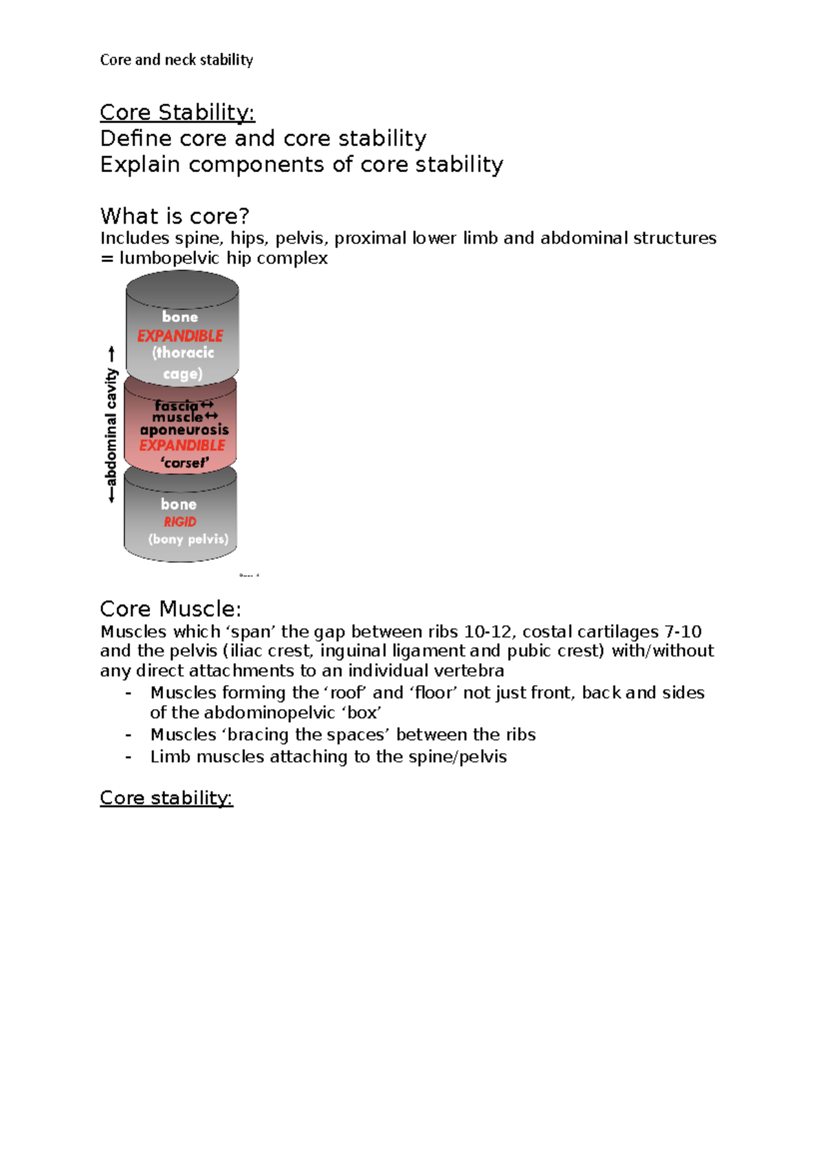 Core & Neck Stability wk 12 - Core Stability: Define core and core ...