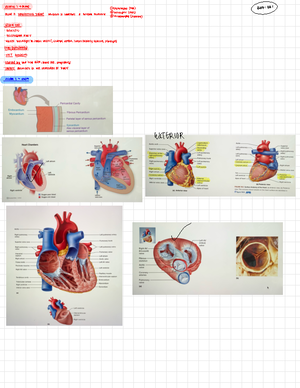 Ph Virtual Lab - Simplified information about pH - - Studocu