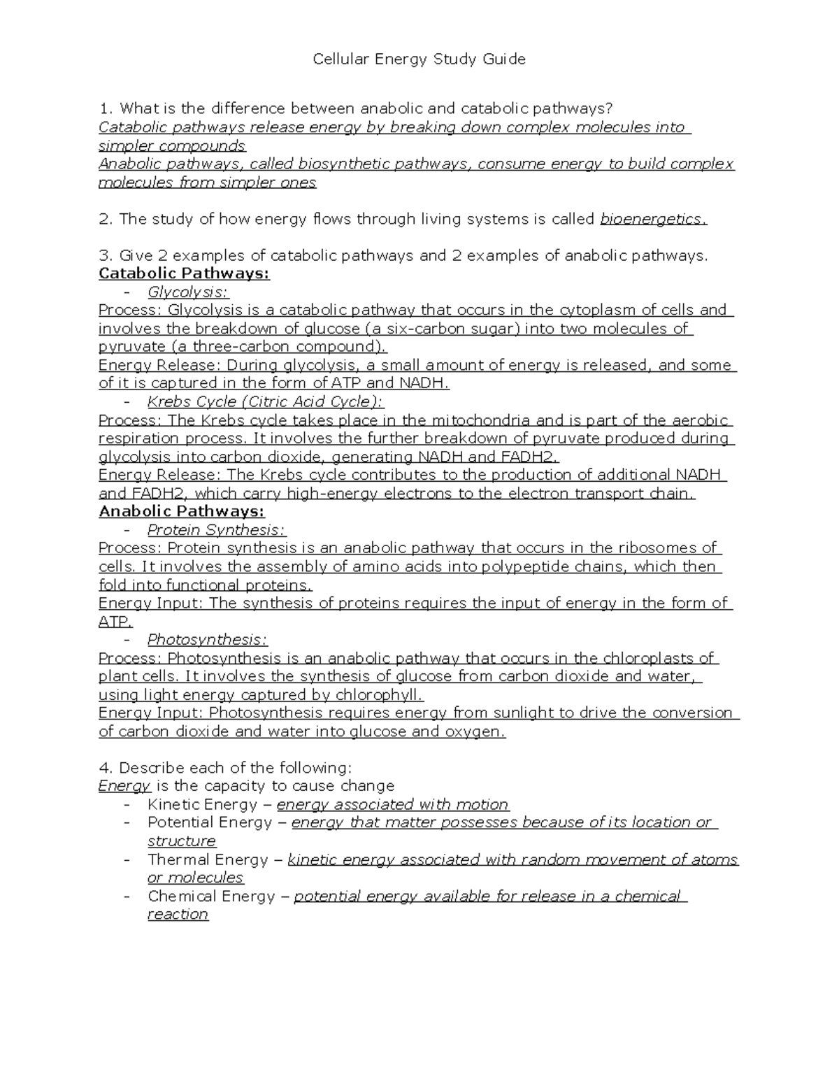 IB Biology Year 1 Cellular Energy Study Guide - Cellular Energy Study ...