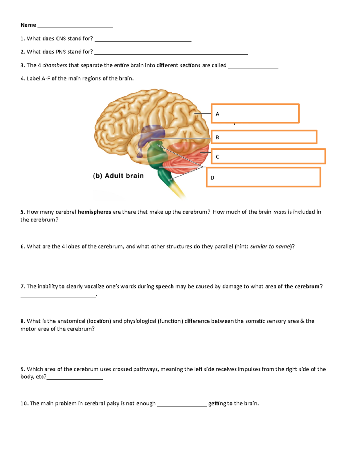 Quizstudent Name What Does CNS Stand For