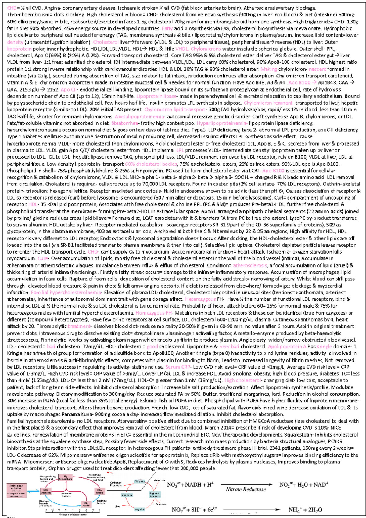 CW3 notes to print - cw3 - CHD= ½ all CVD. Angina- coronary artery ...