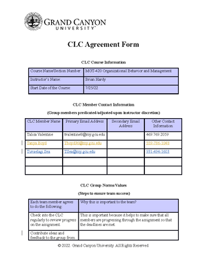 After Action Report - After Action Assessment and Implementation ...