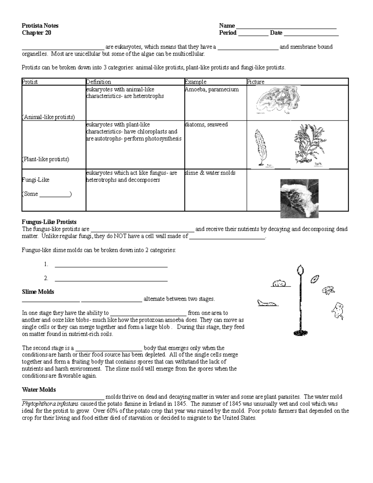 34 h BIO protist notes - idk - Protista Notes Name ...
