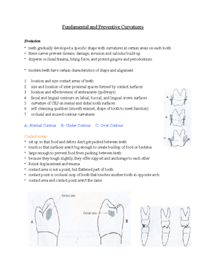 Dental and Orofacial Anatomy - .. “intercuspation” (like a puzzle ...