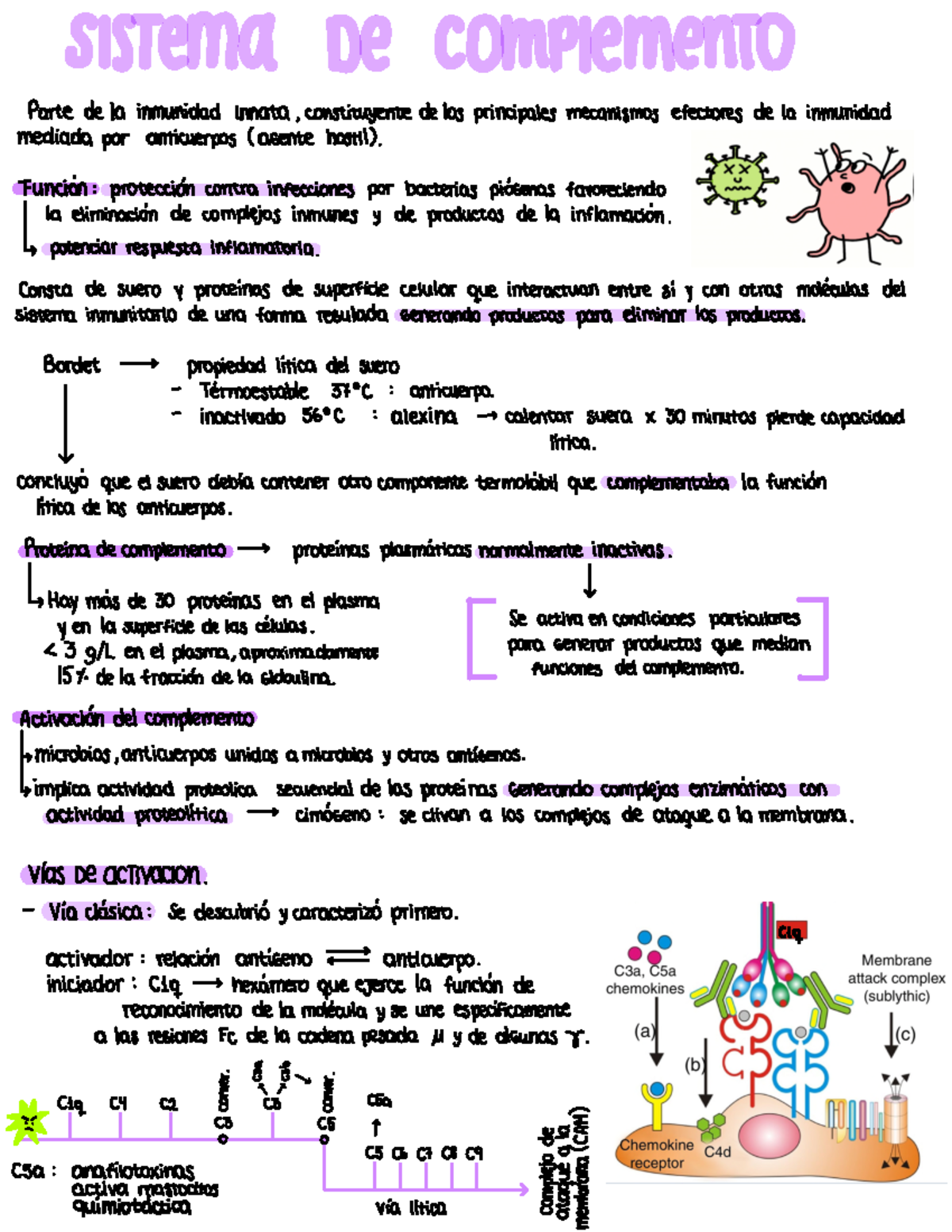 Sistema de Complemento - Warning: Error during font loading: XMLHttpRequest is not defined Parte ...