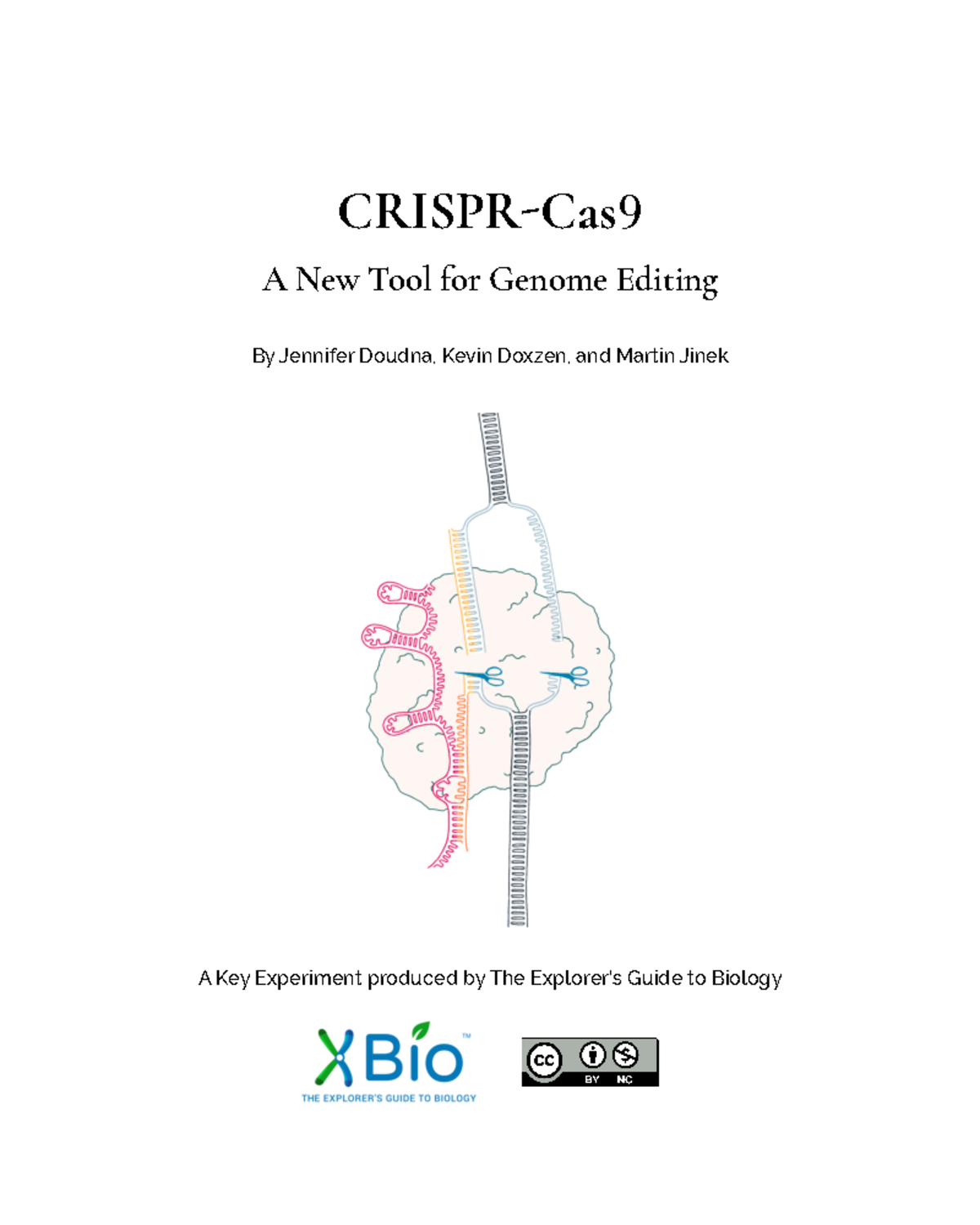 Crispr-Cas9 A New Tool for Genome Editing - ڍ A New Tool for Genome ...