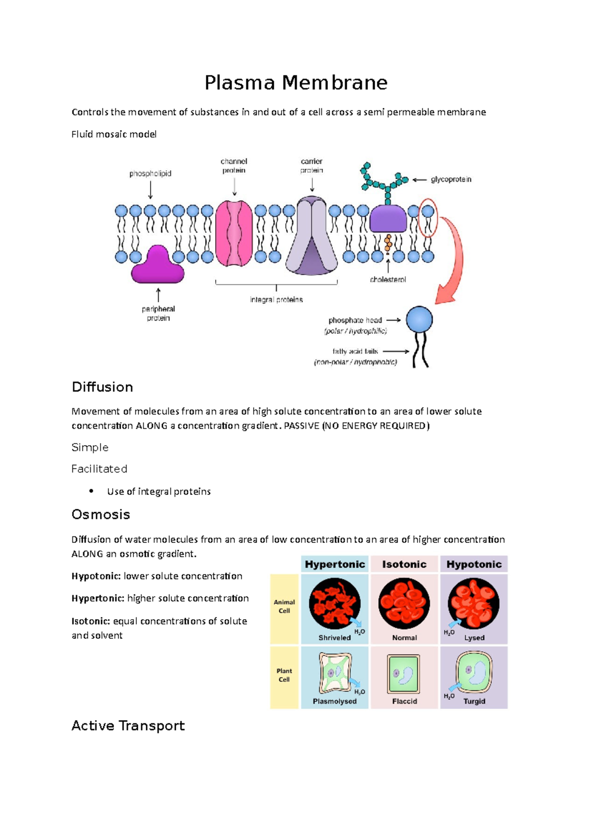 Quick Summary Notes - Imcomplete but helpful for revision - Plasma ...