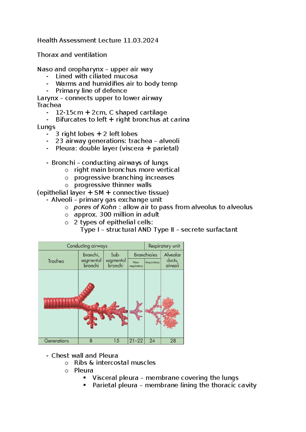 Health Assessment Lecture 11 - Thorax and ventilation Naso and ...