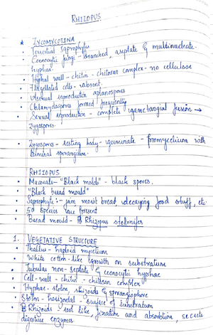 Peziza important notes - ASSMAC PEZIZA 4 ####### dicomycotna ...