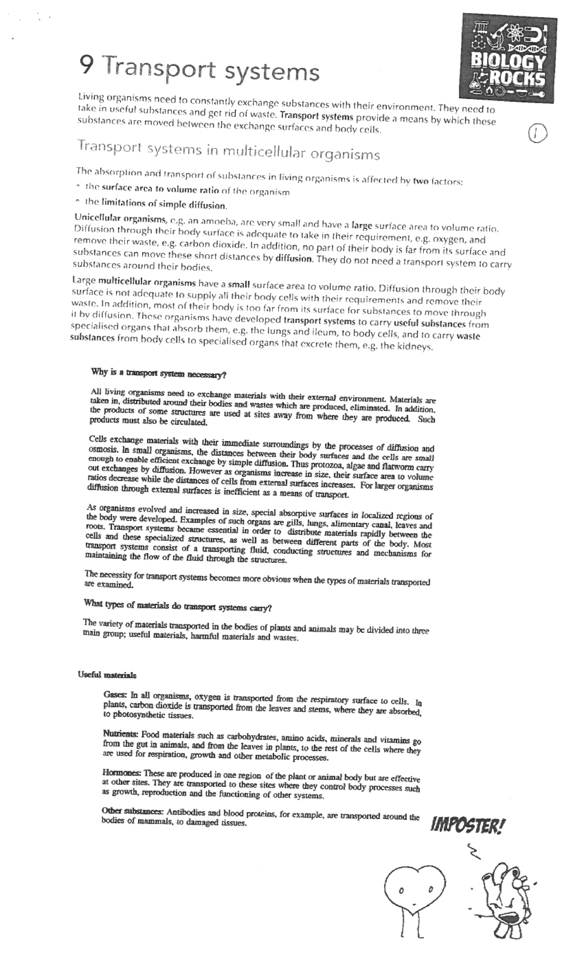 Transport systems - biology - Studocu