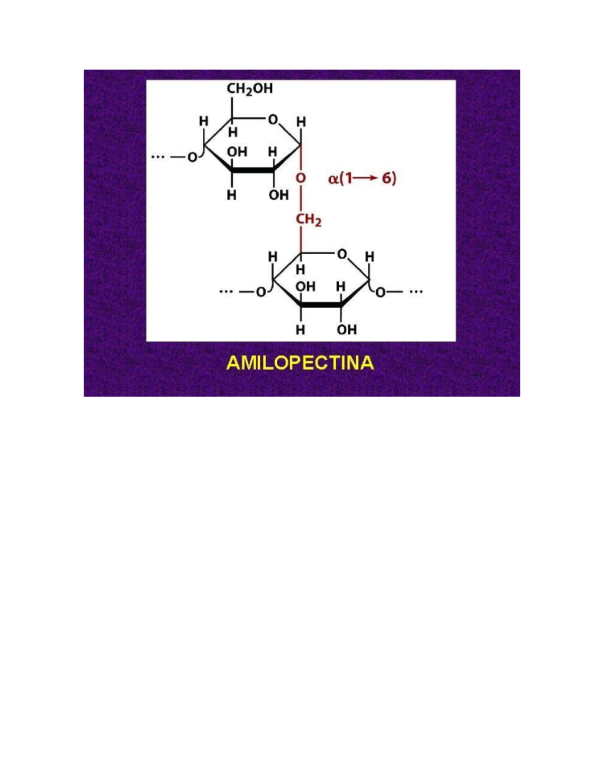Almidón - Quimica - PROCEDIMIENTO - Studocu