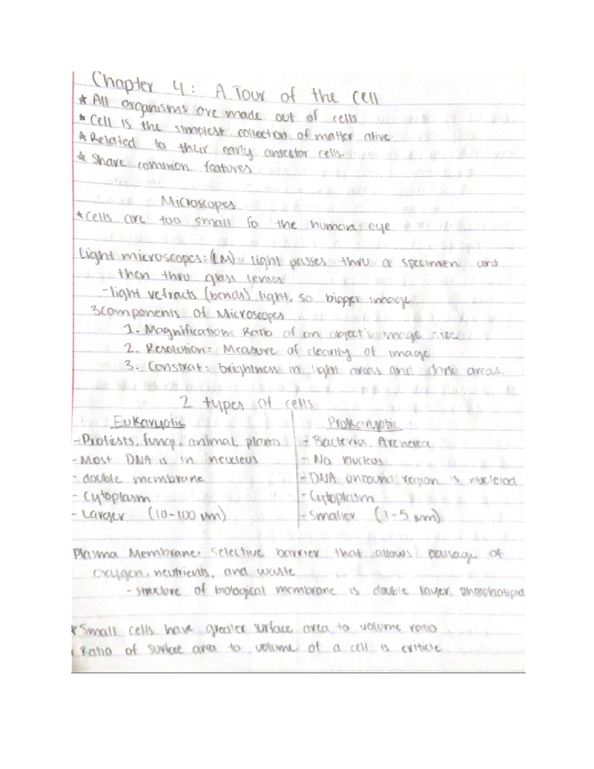 Chap4Cells - Part 1 of Chapter 4 "The Tour of the Cells". From ...