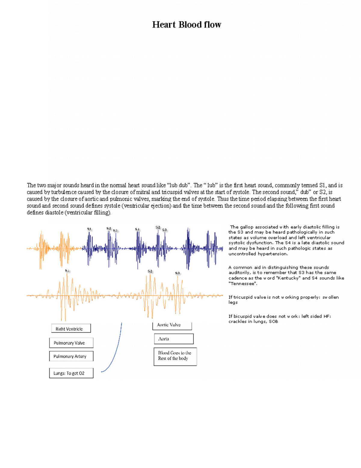 Concept map heart blood flow - Heart Blood flow The two major sounds ...