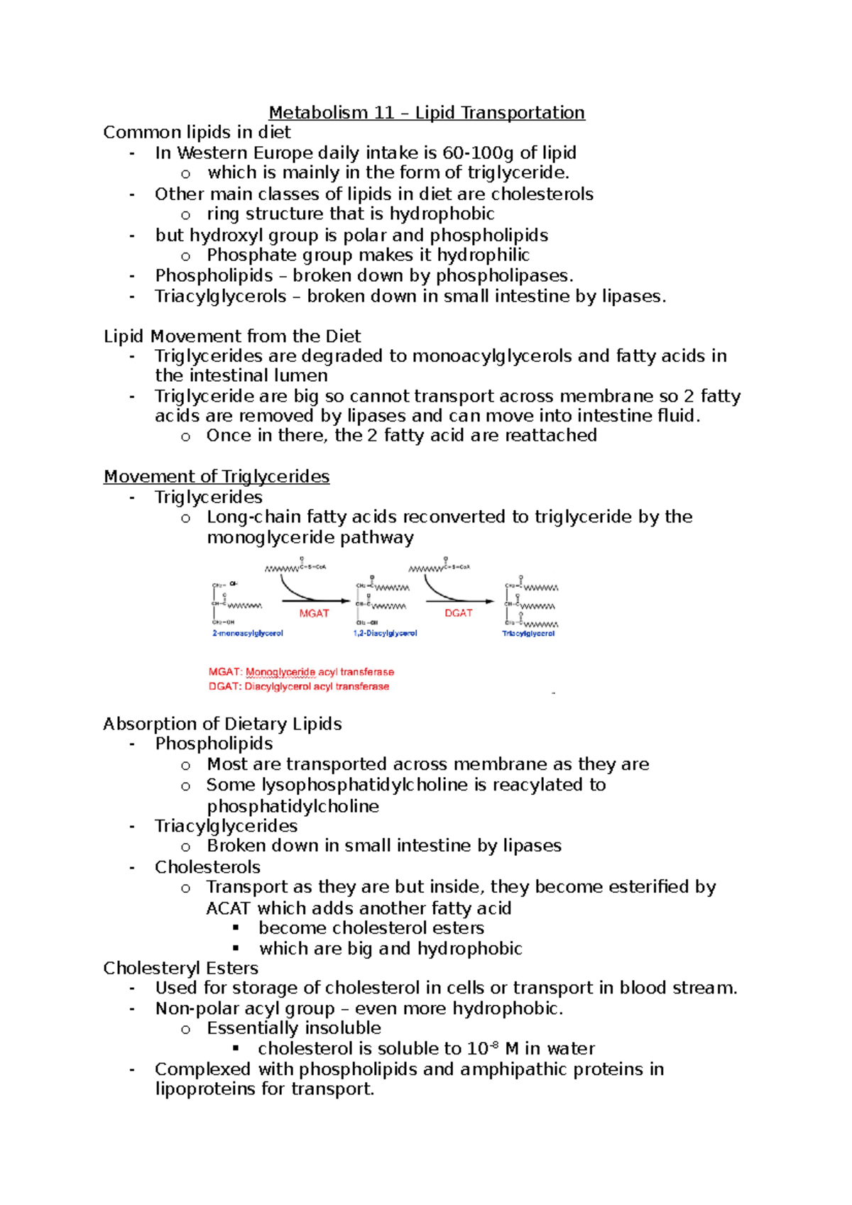 Metabolism 11 - Lipid Transportation - Metabolism 11 – Lipid ...