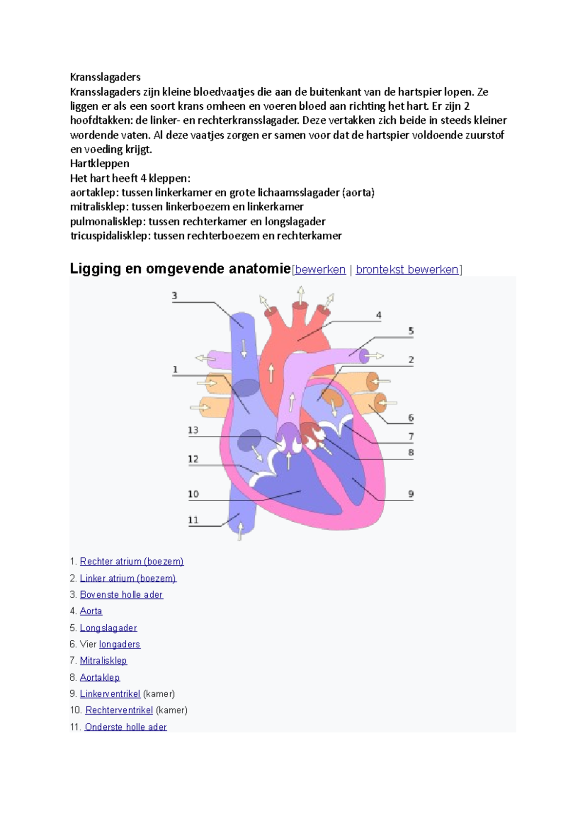 uitleg hart over hbvdlds - Kransslagaders Kransslagaders zijn kleine ...
