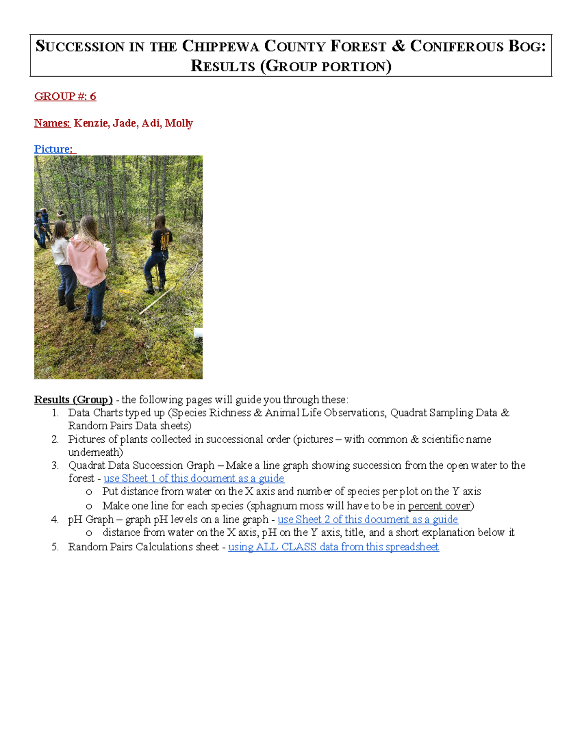 Copy of CCF Write-Up Results Group - SUCCESSION IN THE CHIPPEWA COUNTY ...