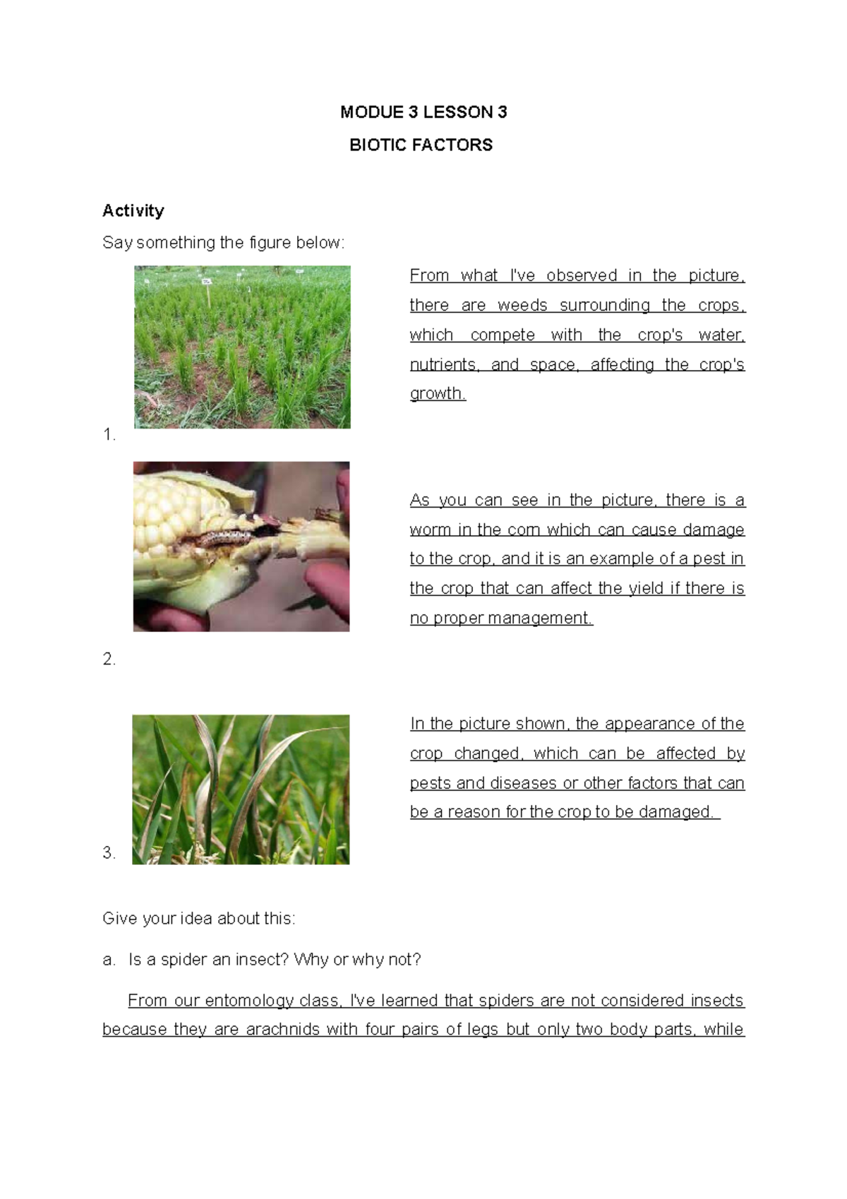 Module 3 Lesson 3 - MODUE 3 LESSON 3 BIOTIC FACTORS Activity Say ...
