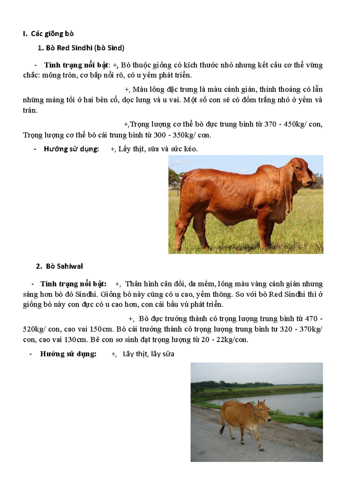 Bài thực hành tìm hiểu thành tựu chọn giống vật nuôi và cây trồng - I ...