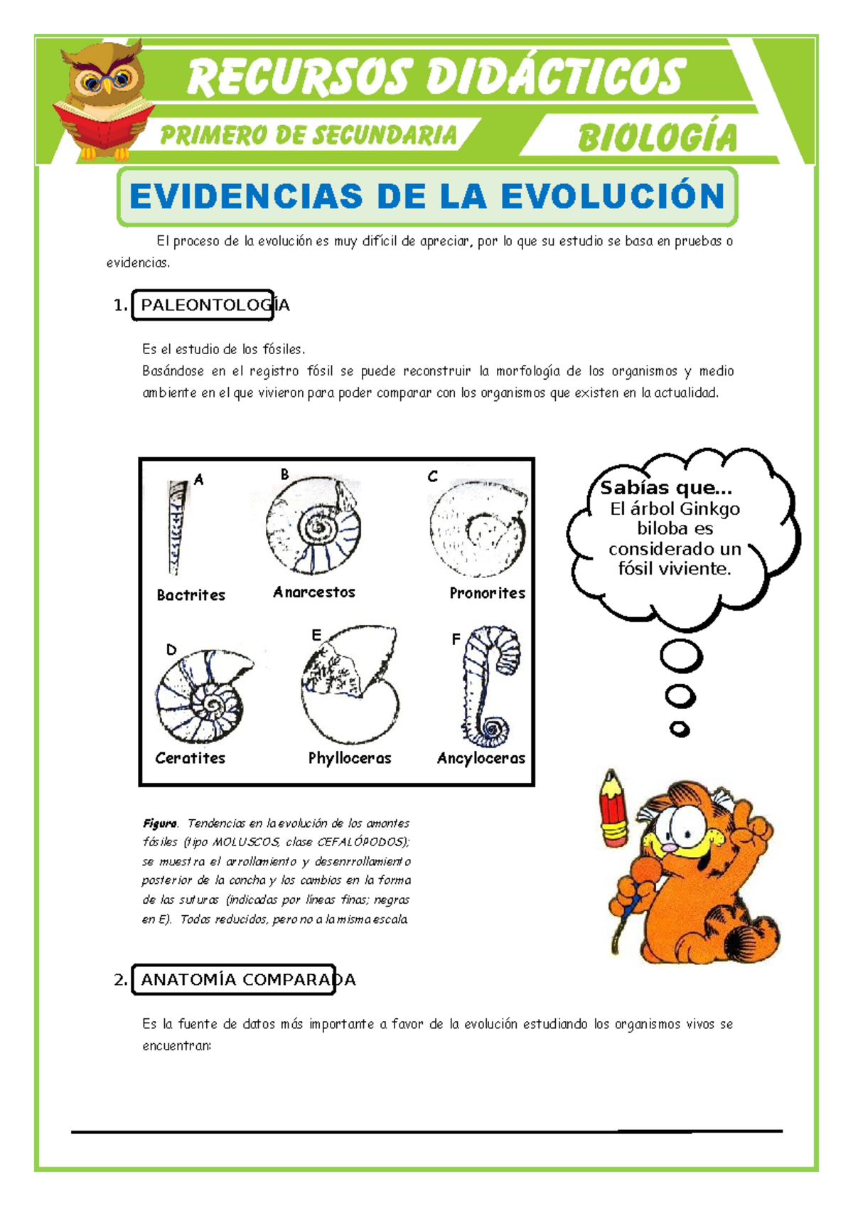 Evidencias de la Evolución para Primero de Secundaria - EVIDENCIAS DE LA EVOLUCIÓN El proceso de ...