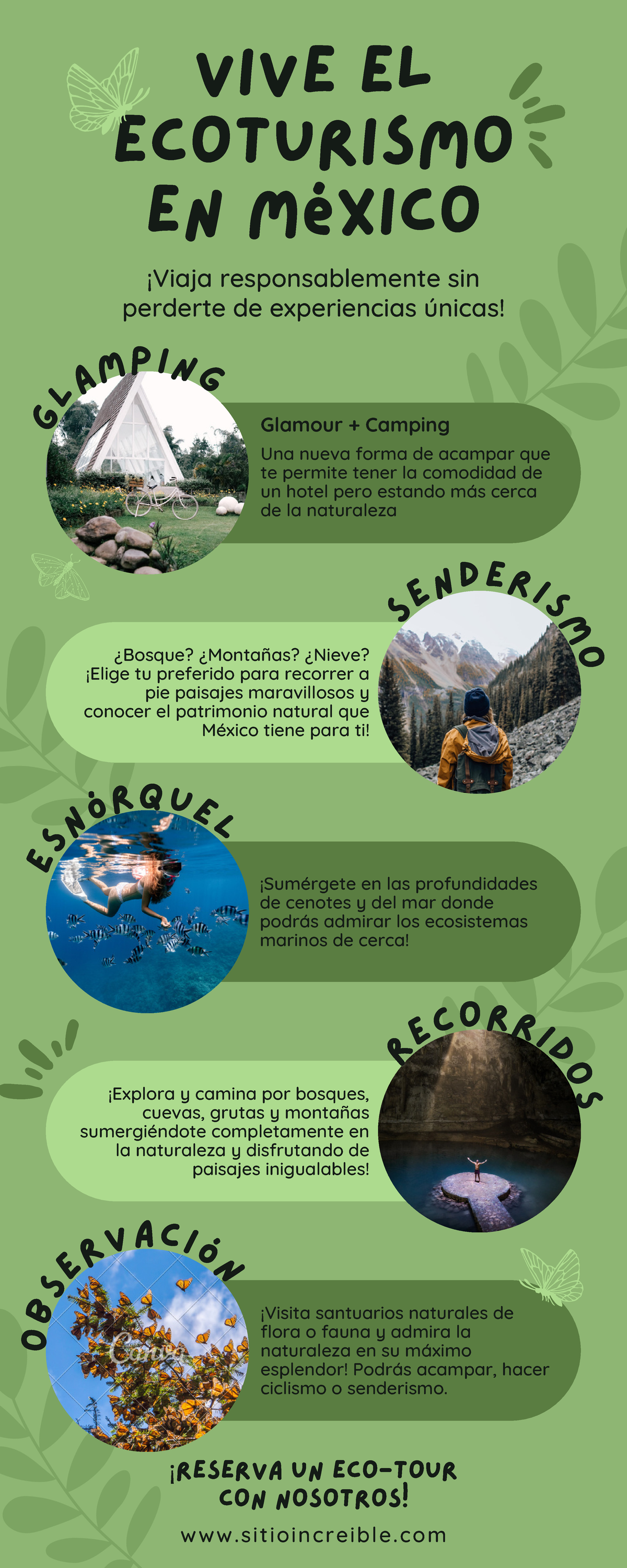 Ecoturismo - vive el ecoturismo en méxico ¡Visita santuarios naturales ...