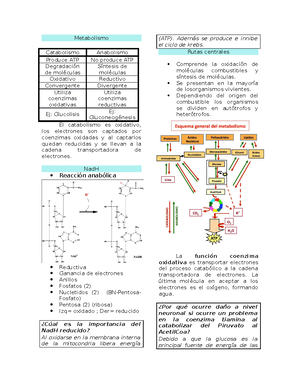 Bitacora biologia comun - BITACORA Nombre: Mariela Astudillo Fecha: 02 ...