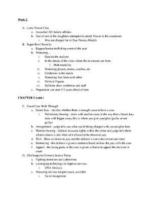 [Solved] In what ways do you believe that the criminal justice system ...