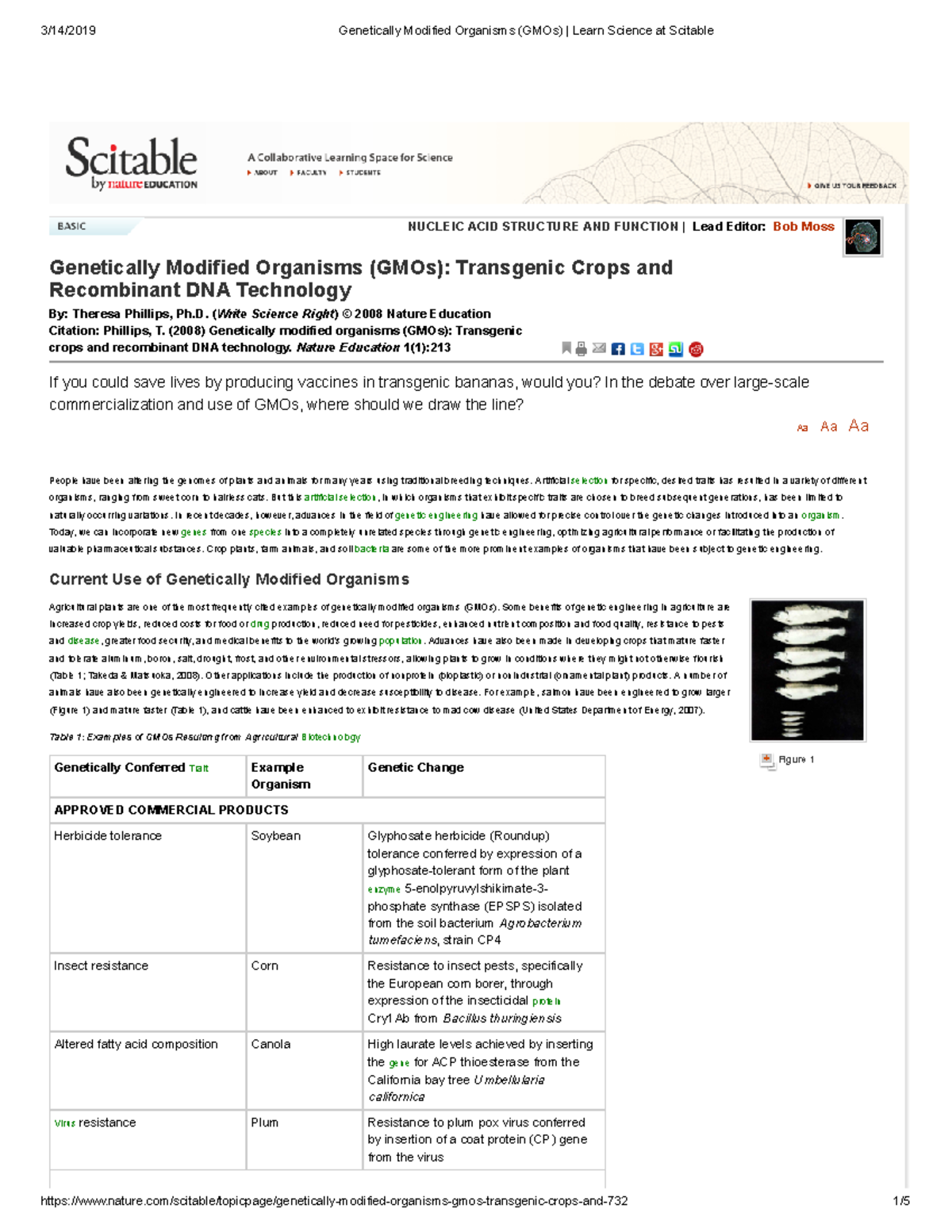 Genetically Modified Organisms (GMOs) Learn Science at Scitable ...