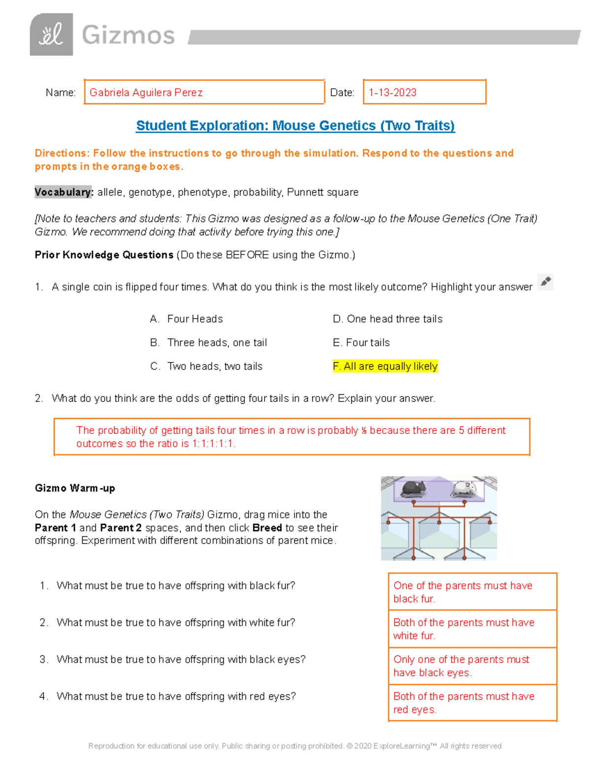 Mouse Genetics 2traits - Name: Gabriela Aguilera Perez Date: 1-13 ...