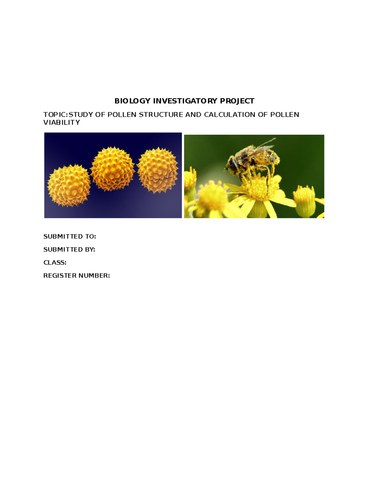 Project - SELF - BIOLOGY INVESTIGATORY PROJECT TOPIC:STUDY OF POLLEN ...