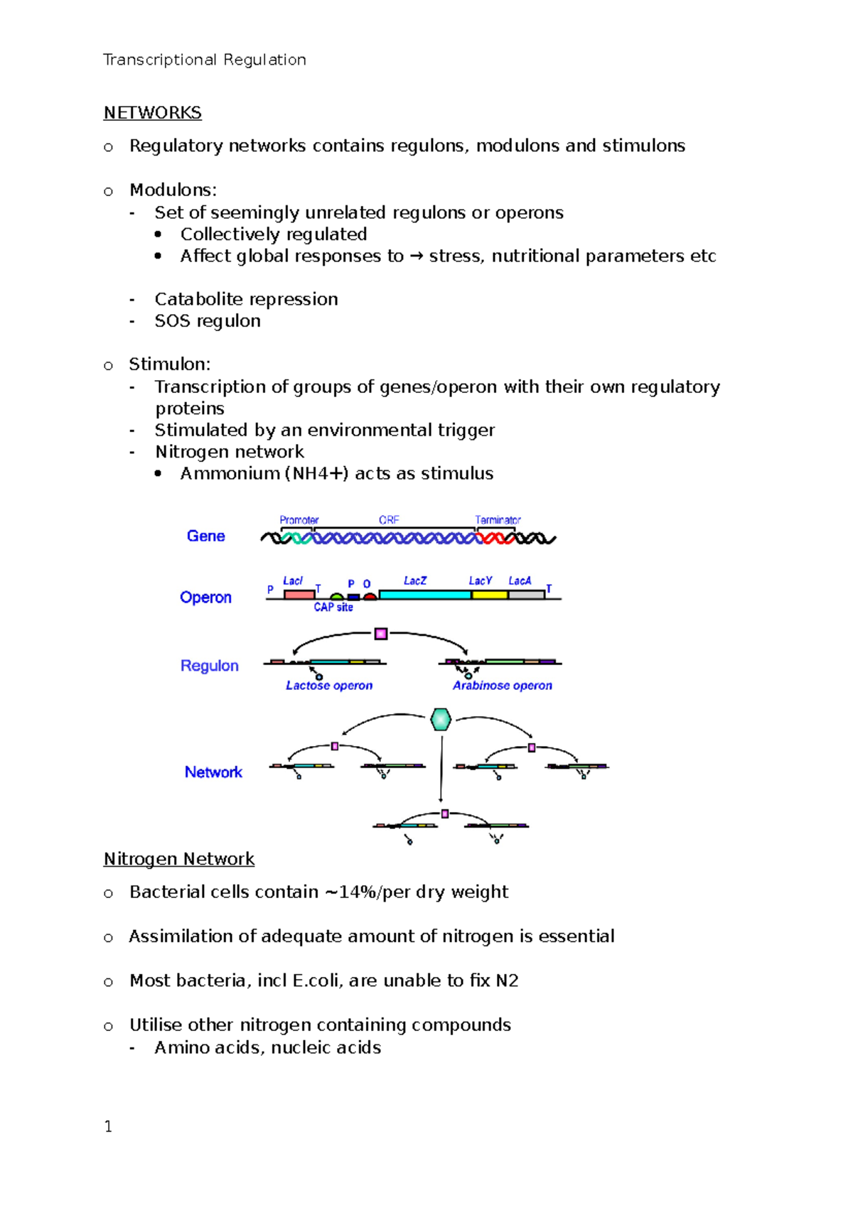 Trans Reg 2 - Summary Prescott's Microbiology - NETWORKS o Regulatory ...
